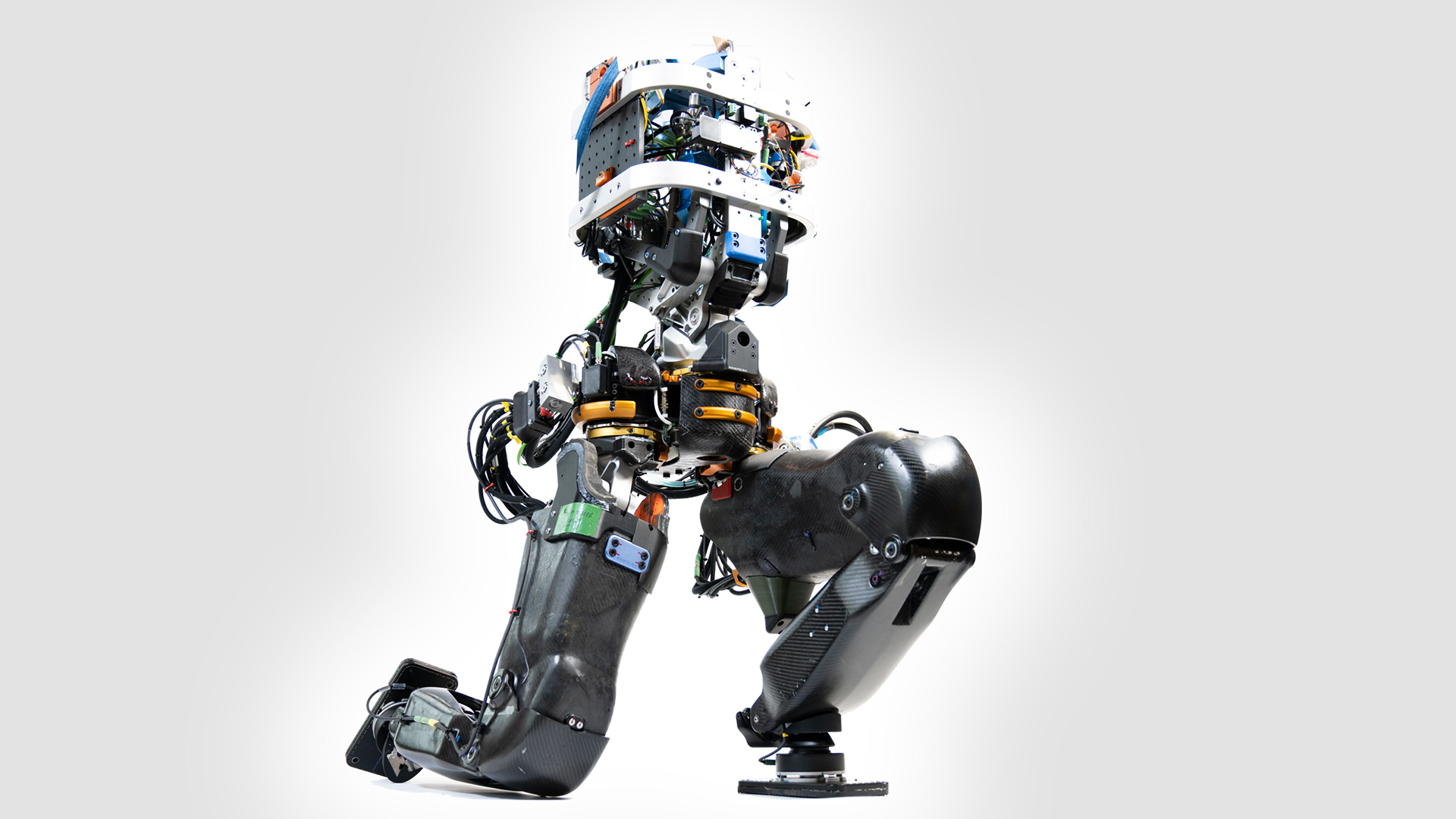 ربات انسان نمای Nadia می تواند بوکس کار کند!