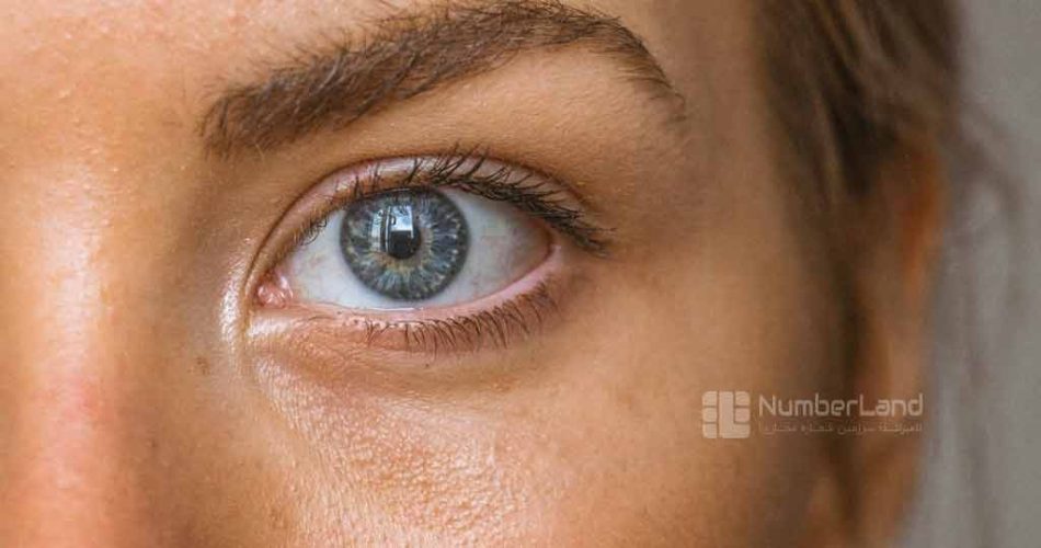 چطور با هوش مصنوعی Stable Diffusion تصاویر باکیفیت رایگان بسازیم؟